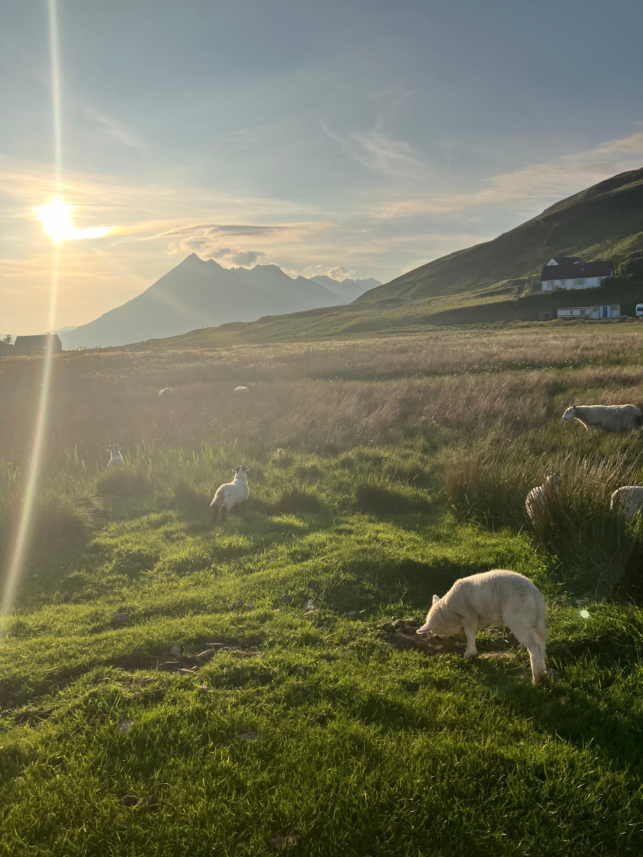 Breaking the Lesbian Sheep/Passive Syndrome: How Our Queer Jewelry and